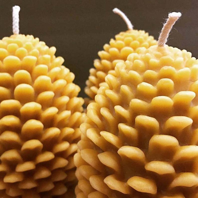 Pine Cone Beeswax Candle - Etsy
