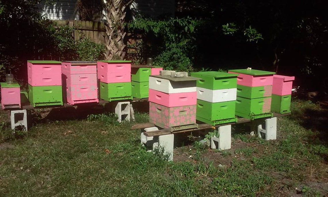 Beeswax Food Wraps Ecofriendlyreusable - Etsy