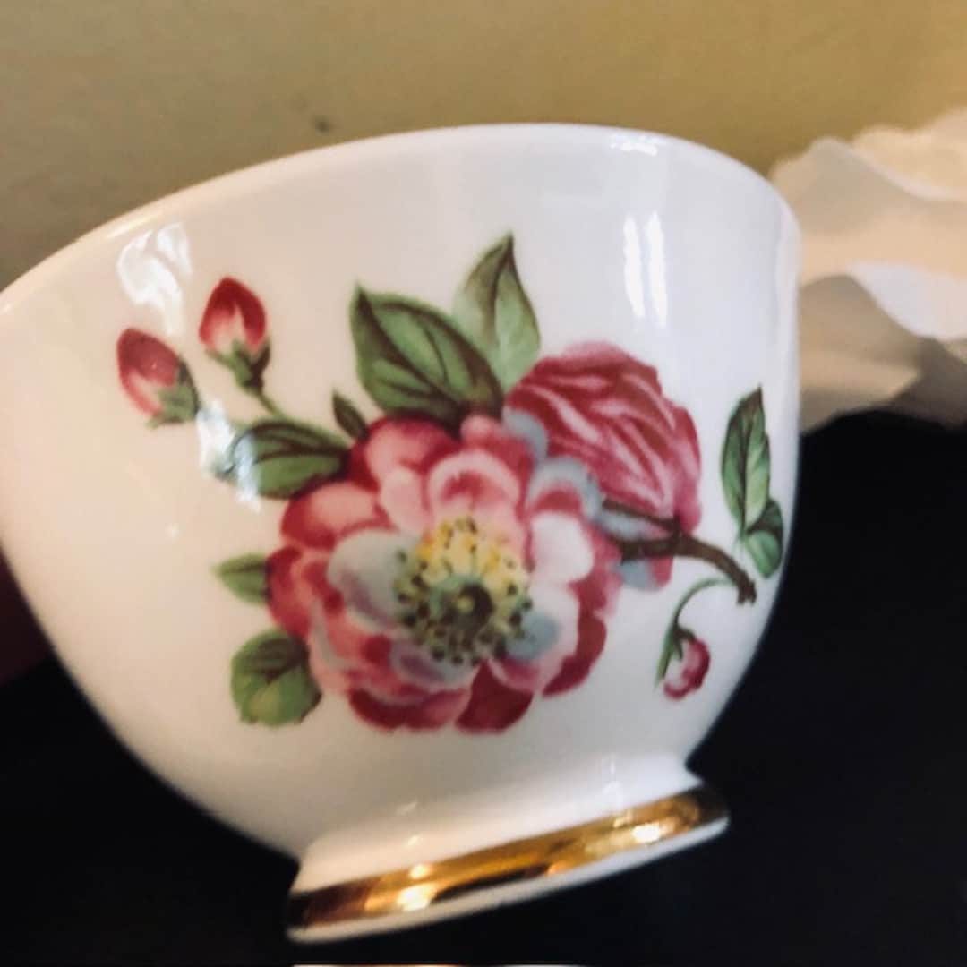 Vintage Delphine Bone China Sugar Bowl Vintage Free Shipping Wild Roses ...