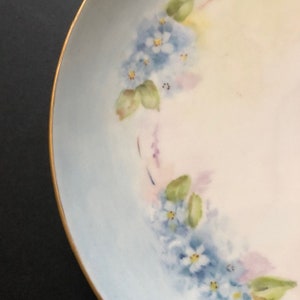 Blue Forget Me Not Floral Themed Decorative Wall Plate Free Shipping ...