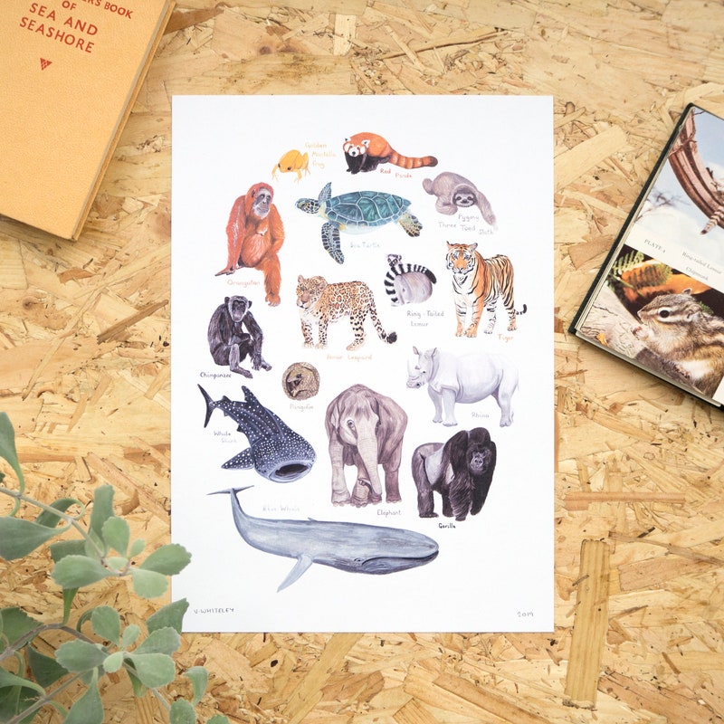Endangered Animal Poster - Etsy UK