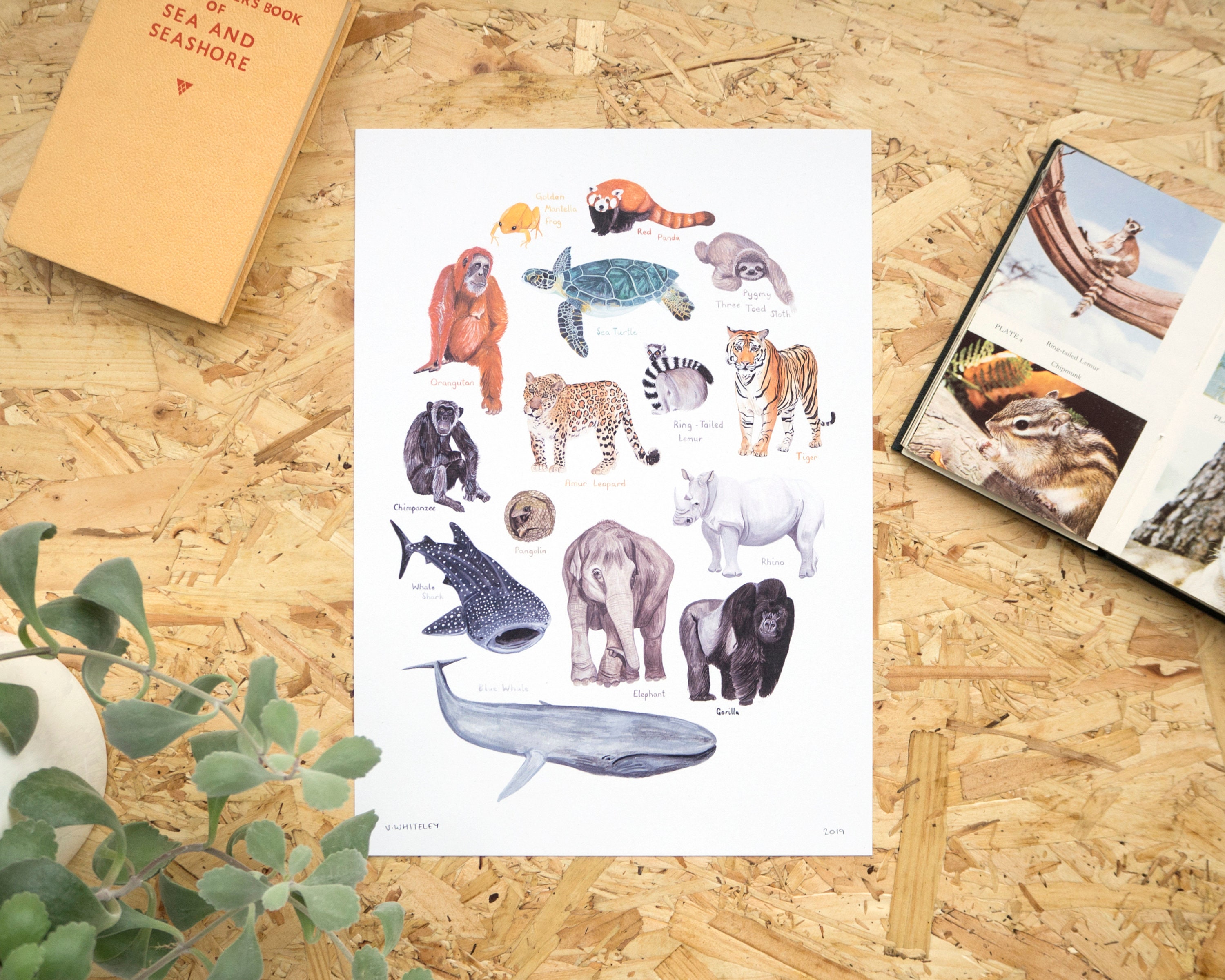 Endangered Creatures A4 or A3 Print // Painting Art Print of - Etsy