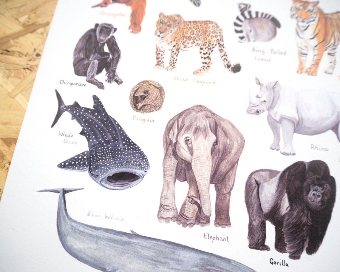 Endangered Creatures A4 or A3 Print // Painting Art Print of | Etsy