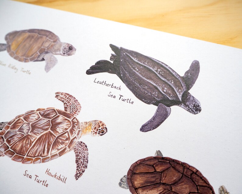 Sea Turtles A4 or A3 Print // Painting Art Print of Sea | Etsy
