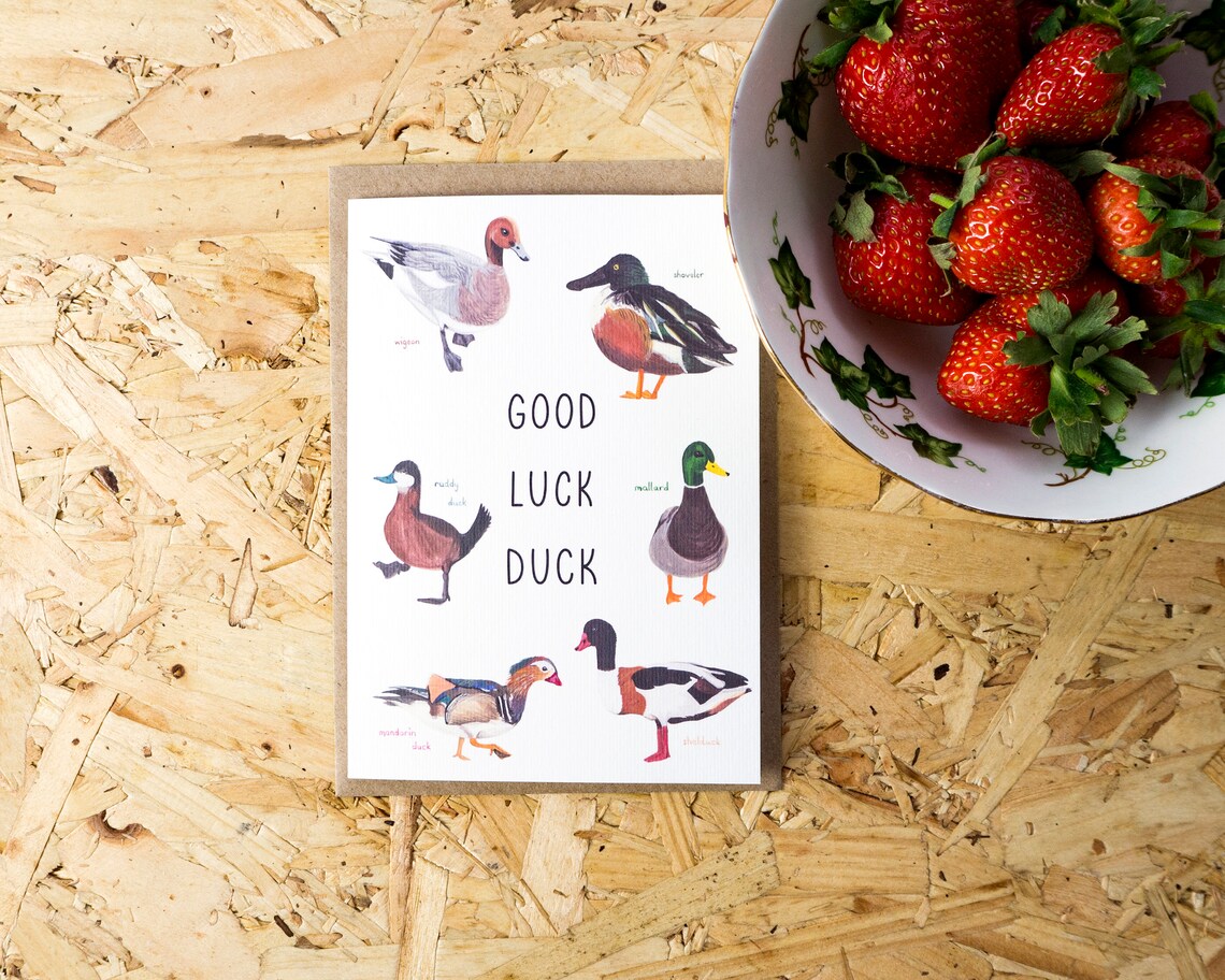 Good Luck Duck Greetings Card // Friendship Card // Cute - Etsy
