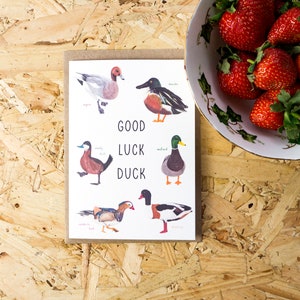 Good Luck Duck Greetings Card // Friendship Card // Cute Animal Card ...