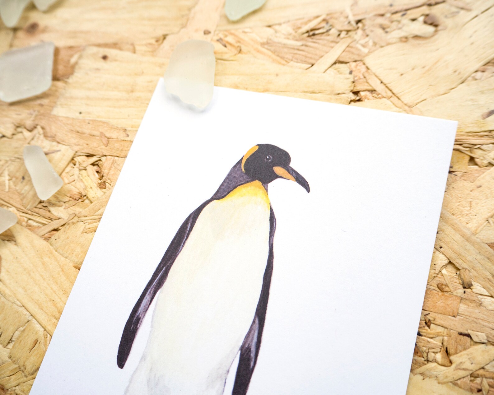 King Penguin Illustration Print // A6 Mini Print Postcard // - Etsy