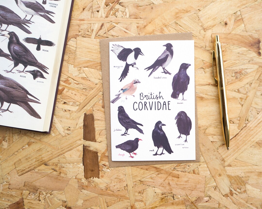 British Corvidae Greetings Card // Blank Card // Birds Card - Etsy UK