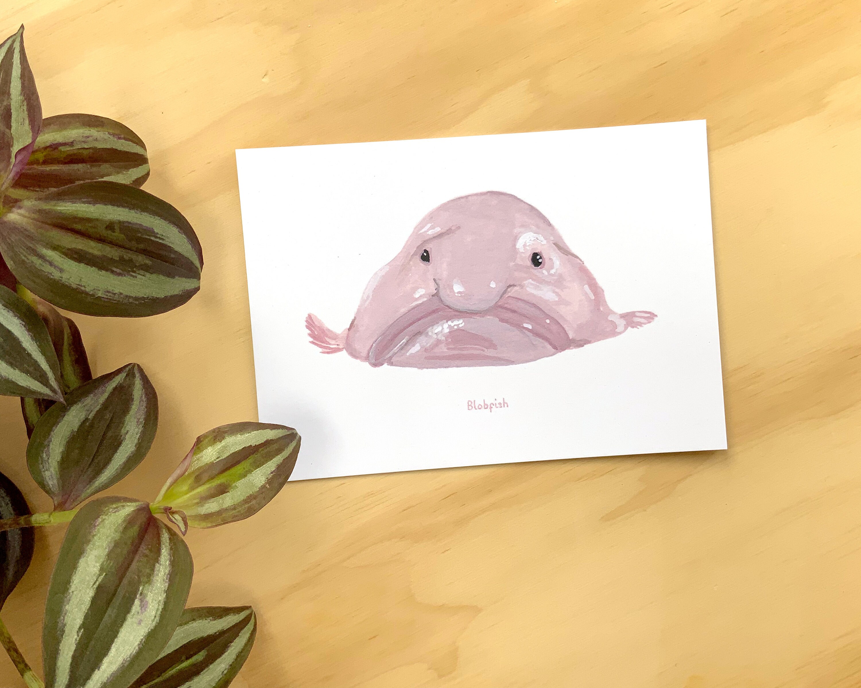 Blobfish Illustration Print // A6 Print Postcard // Blob Fish | Etsy