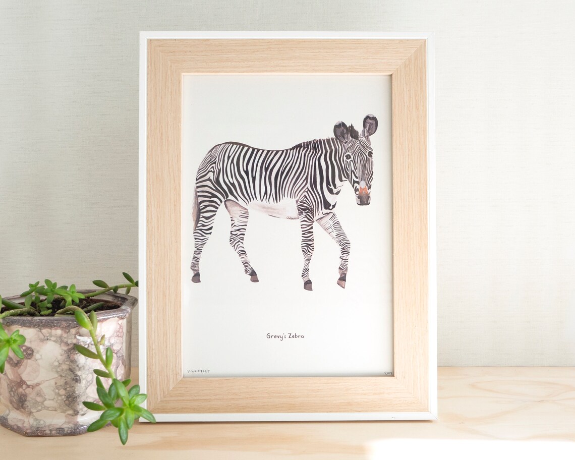 Zebra A4 Print // Painting Art Print of Grevy's Zebra // - Etsy UK