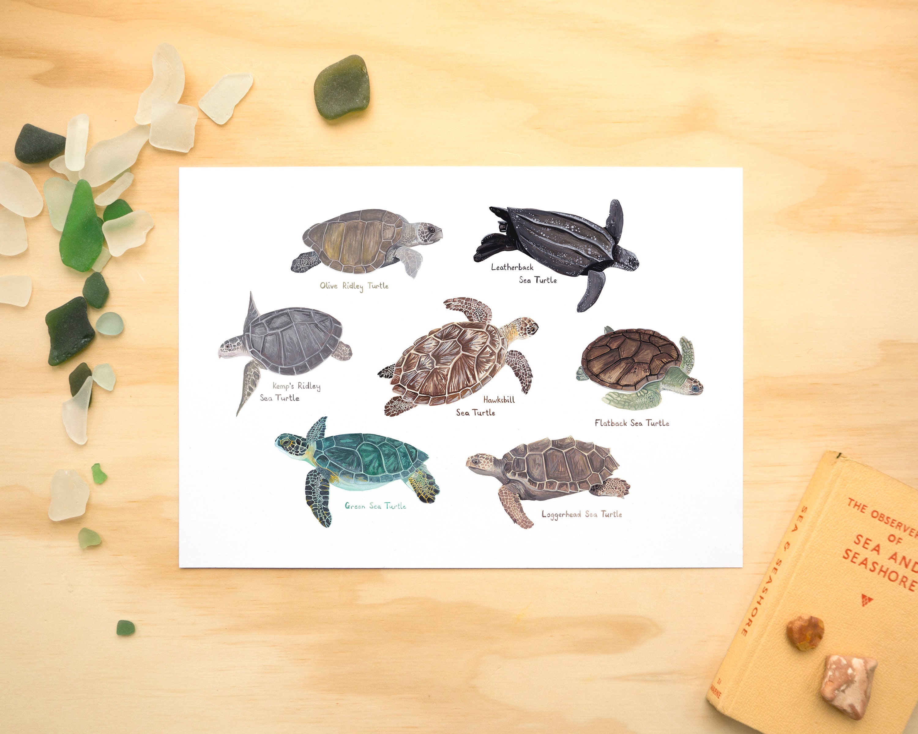 Sea Turtles A4 or A3 Print // Painting Art Print of Sea Turtles // Sea ...