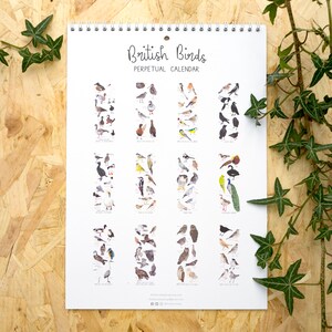 British Birds Perpetual Calendar // A4 Birthdays and Anniversaries ...