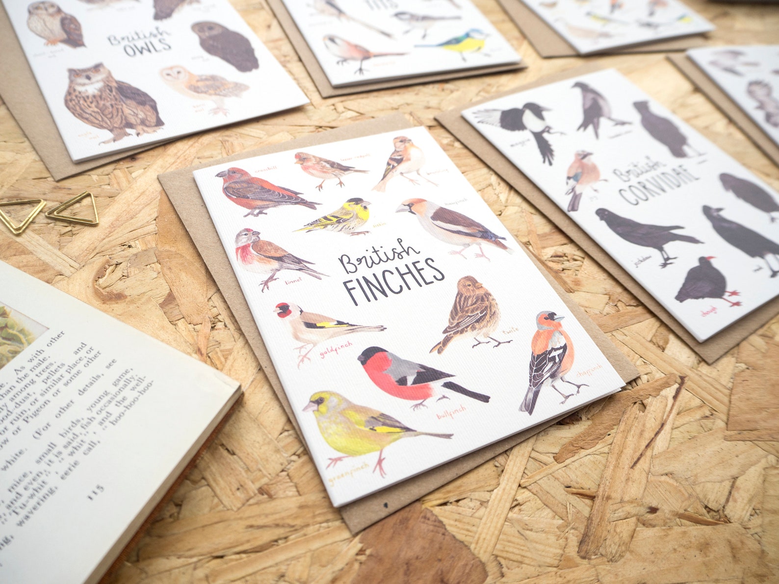 British Finches Greetings Card // Blank Card // Birds Card | Etsy