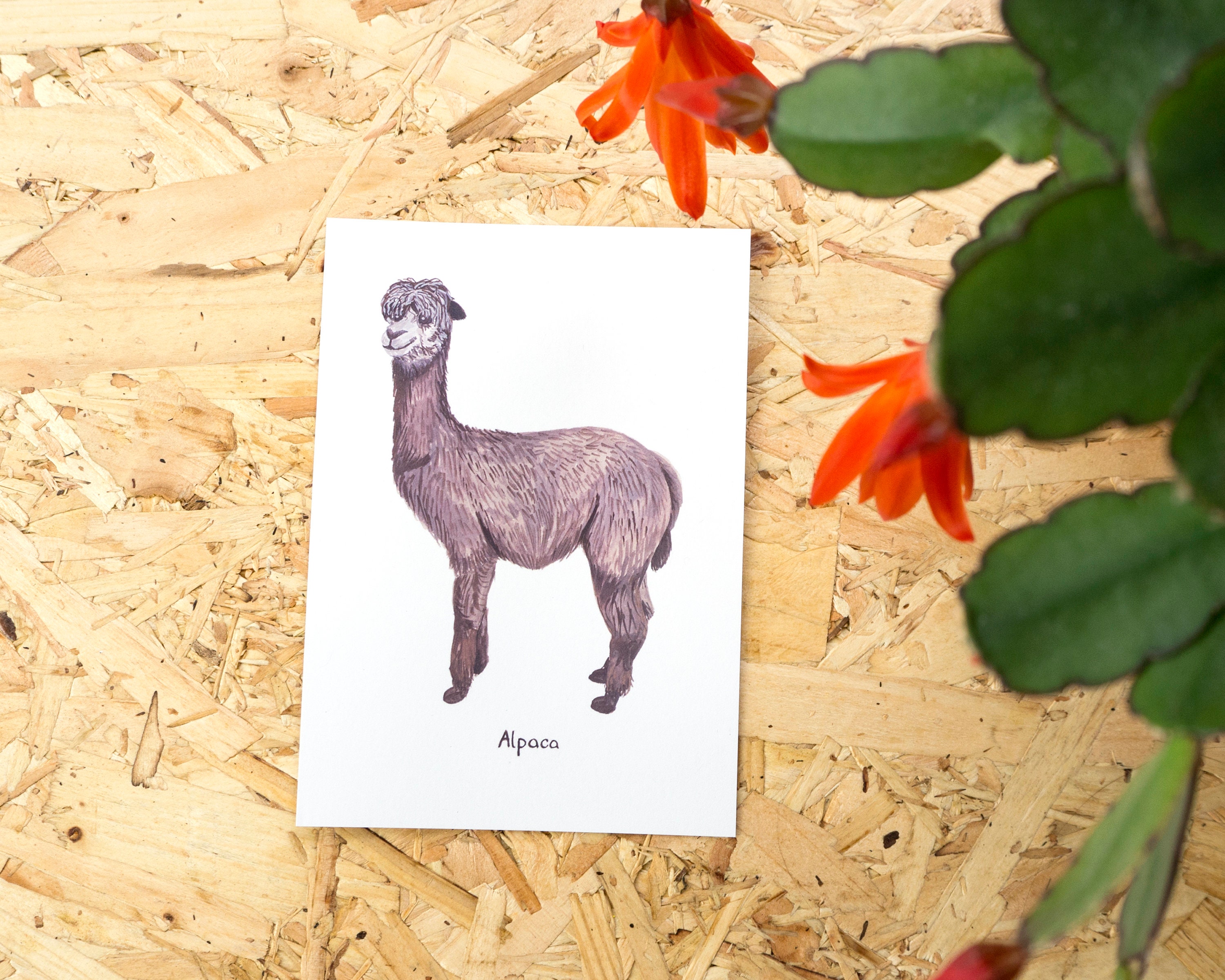 Alpaca Illustration Print // A6 Print Postcard // Alpaca | Etsy
