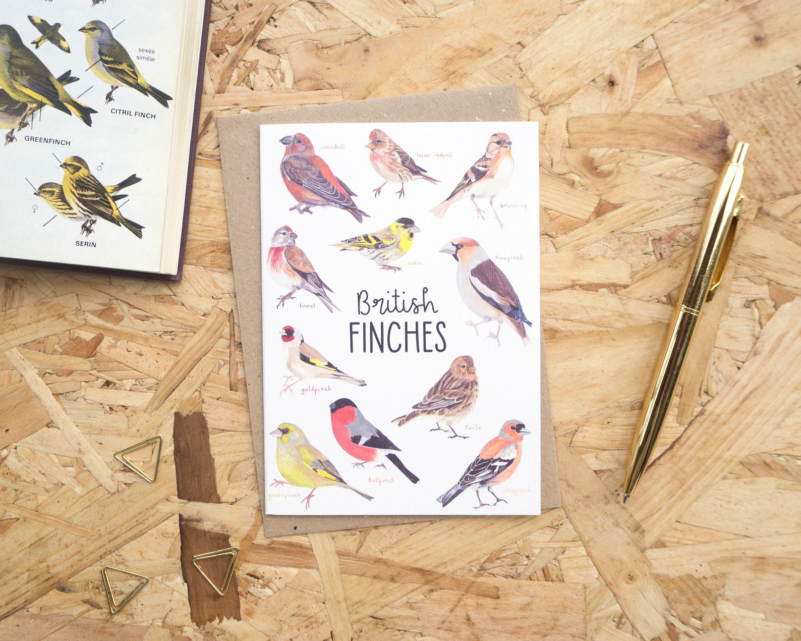 British Finches Greetings Card // Blank Card // Birds Card - Etsy