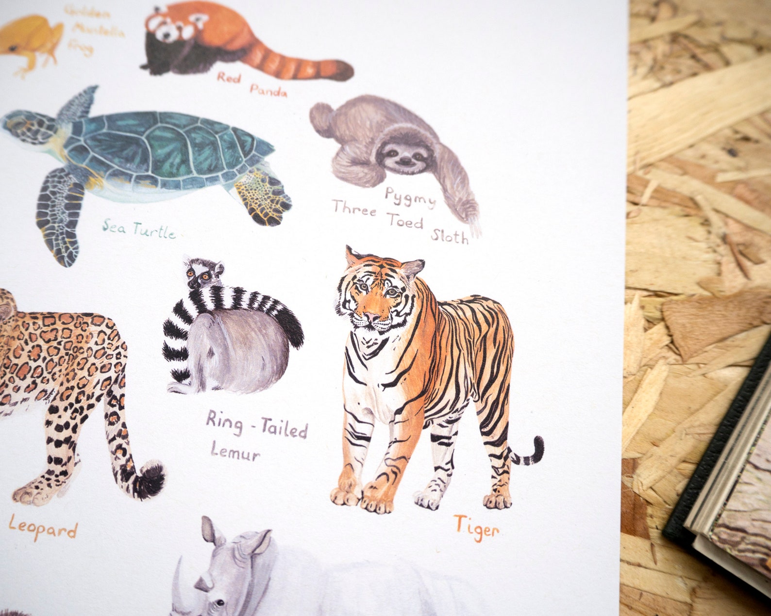 Endangered Creatures A4 or A3 Print // Painting Art Print of | Etsy