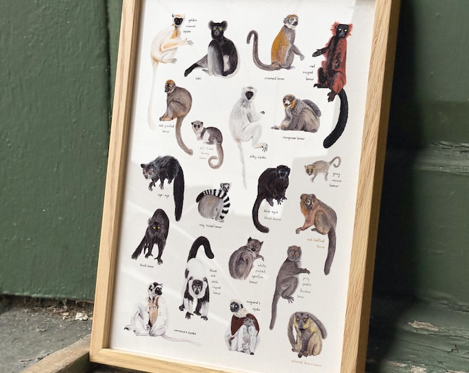 Set of 13 Small Madagascar Mort Stickers (RETIRED!)(READ DESC) - Etsy