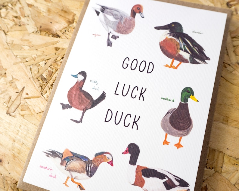 Good Luck Duck Greetings Card // Friendship Card // Cute - Etsy