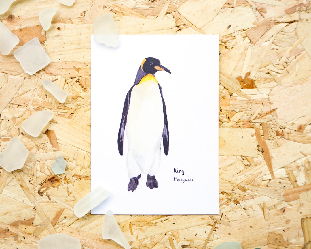King Penguin Illustration Print // A6 Mini Print Postcard // Sea Birds ...
