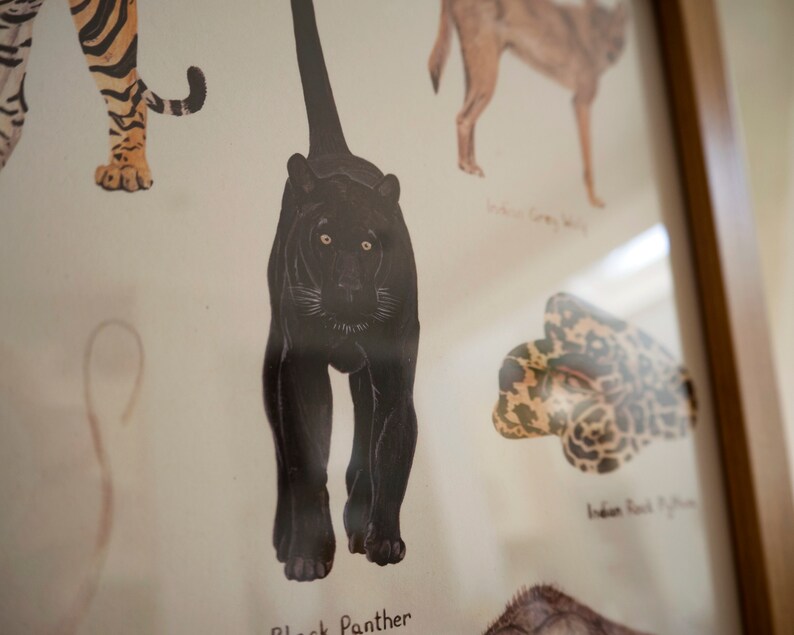 Real Life Jungle Book Animal A4 or A3 Print // Painting Art | Etsy