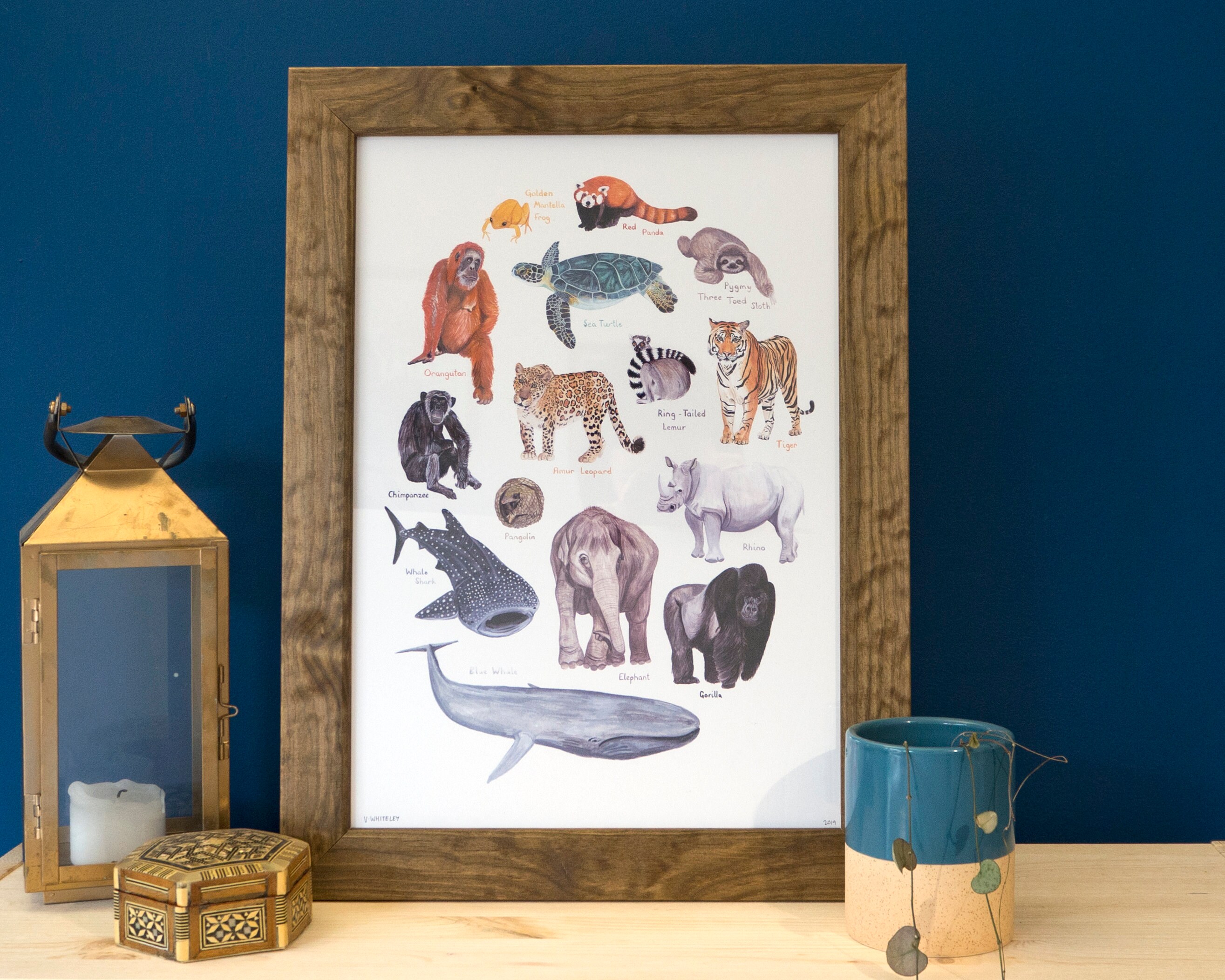 Endangered Creatures A4 or A3 Print // Painting Art Print of - Etsy