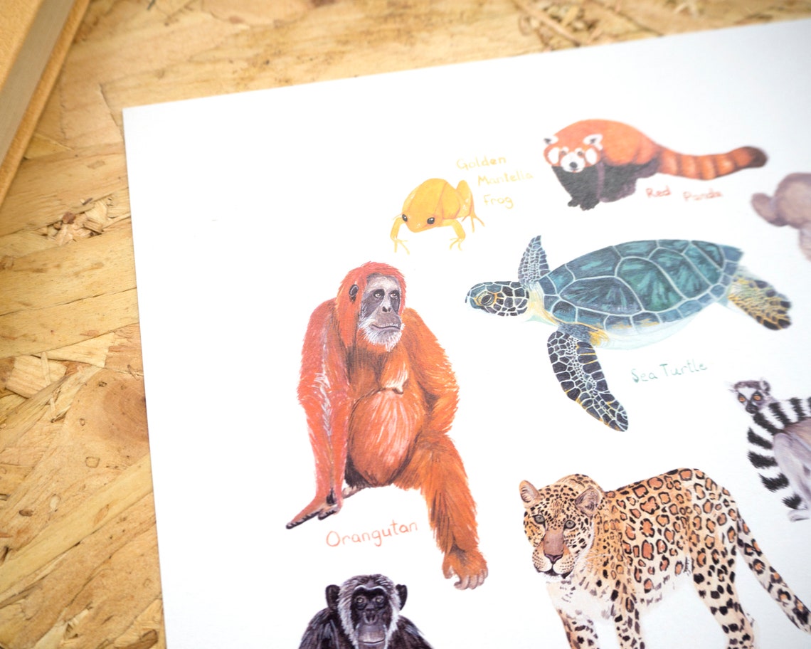 Endangered Creatures A4 or A3 Print // Painting Art Print of | Etsy