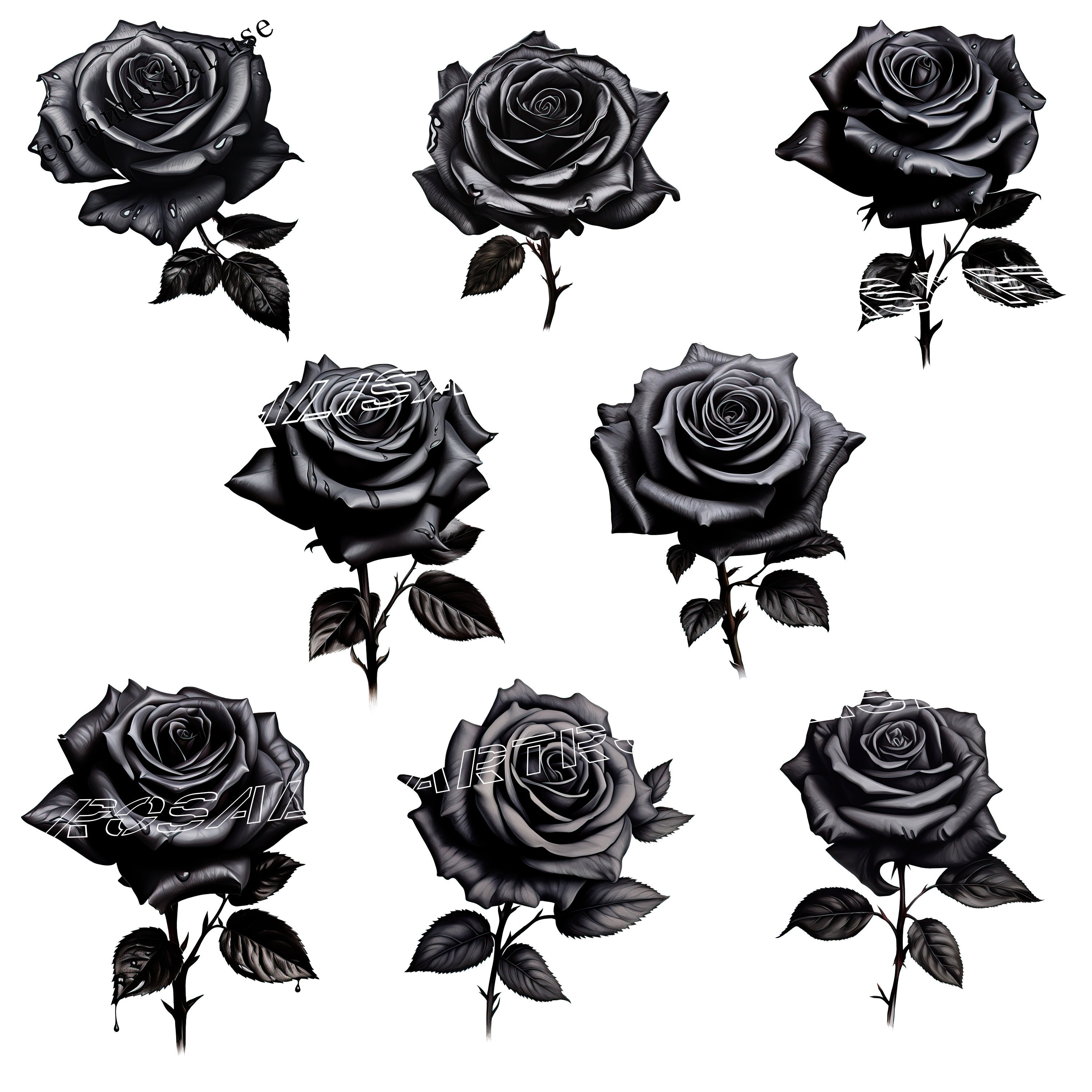 Black Rose Set Set of 8 PNG Elements High Quality Roses Clipart Bundle ...