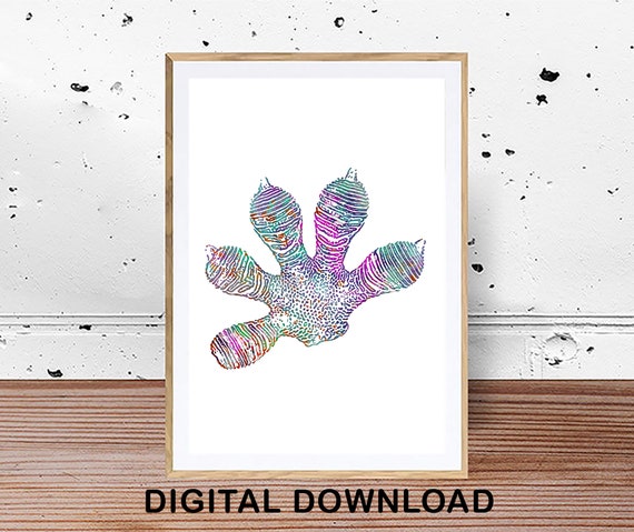 Gecko Paw Printable Watercolor Print Wall Art Living Room - Etsy