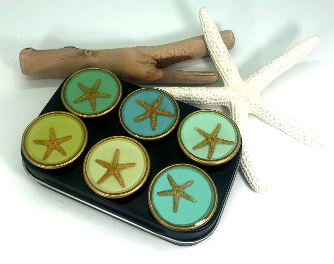Genuine Florida Brown Starfish Rare Earth Strong Magnets Set of 6 ...