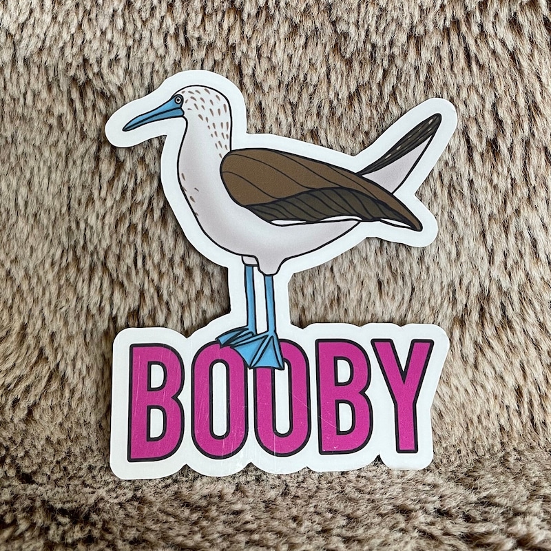 Blue Footed Booby - Etsy