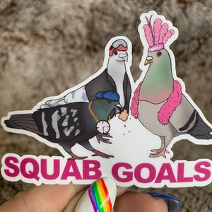 Squab Goals | Pigeon Sticker | High Quality Vinyl | Scratch Resistant ...