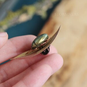 The Gold Bug Pin Polymer Clay Pin Miniature Insect Brooch Scarabaeus ...
