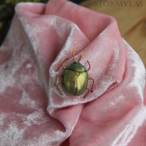 The Gold Bug Pin Polymer Clay Pin Miniature Insect Brooch Scarabaeus ...