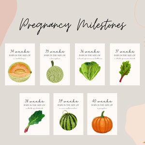 Pregnancy Milestones Cards, Bump Size Cards, Fruits and Vegetables ...