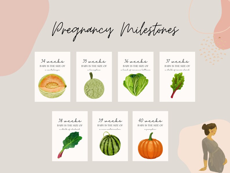 Pregnancy Milestones Cards, Bump Size Cards, Fruits and Vegetables ...