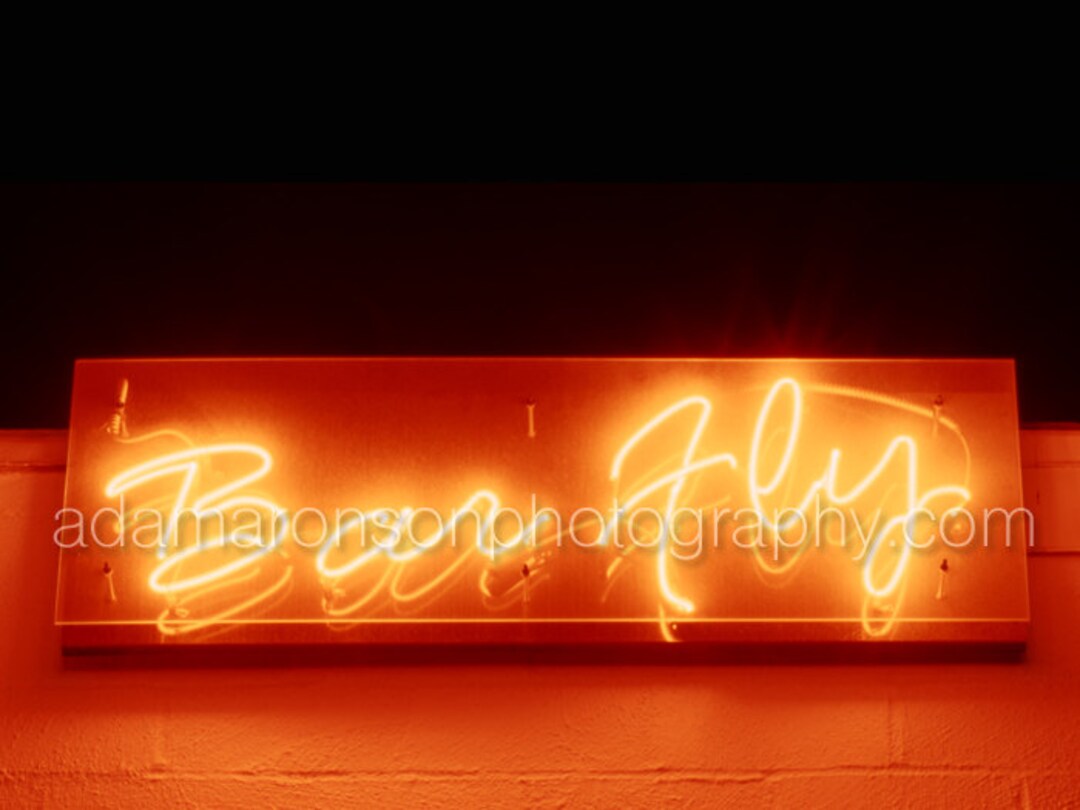 Photograph of BARFLY SIGN in Houston, Texas - Etsy