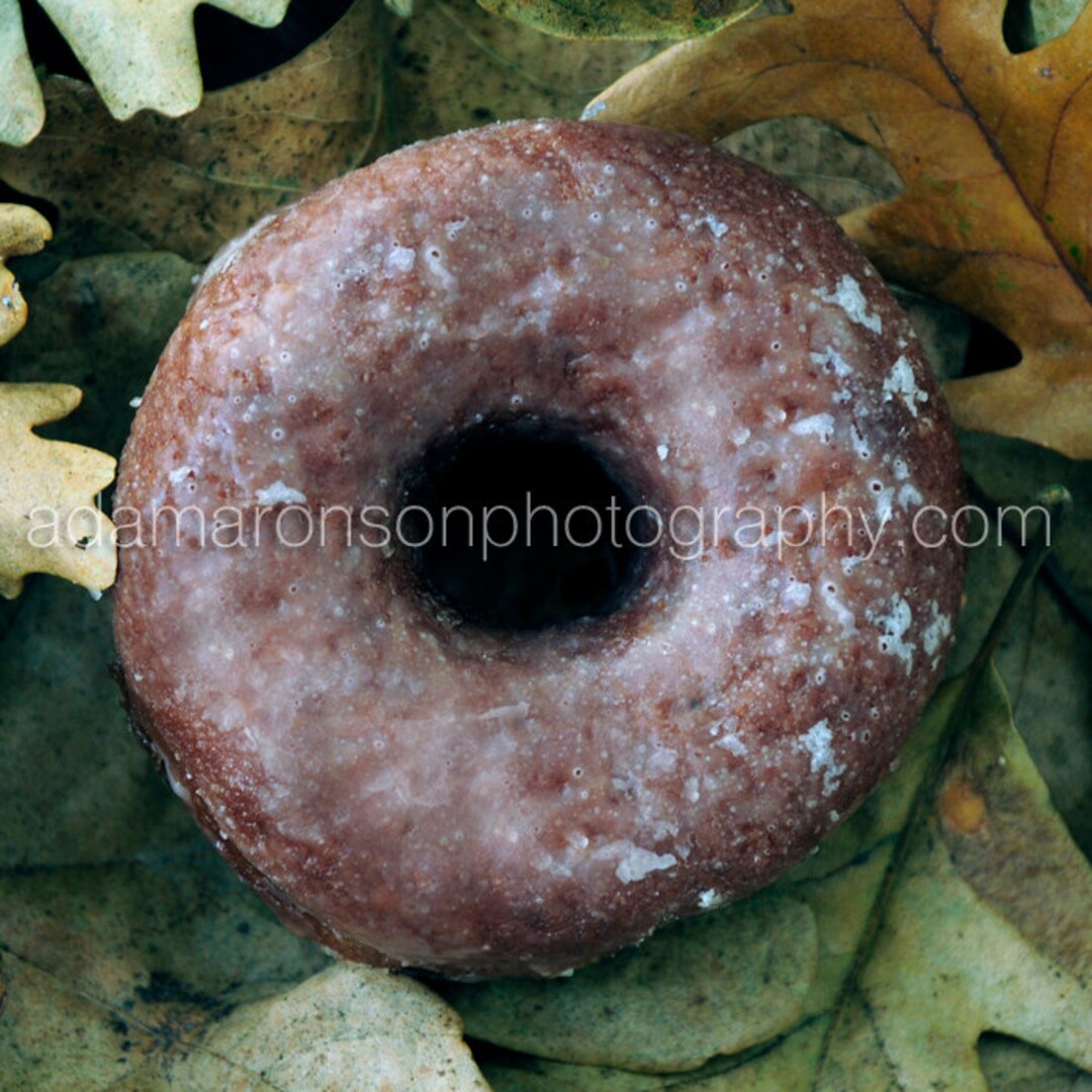 Photograph of Chocolate Donut on Leaves - Etsy