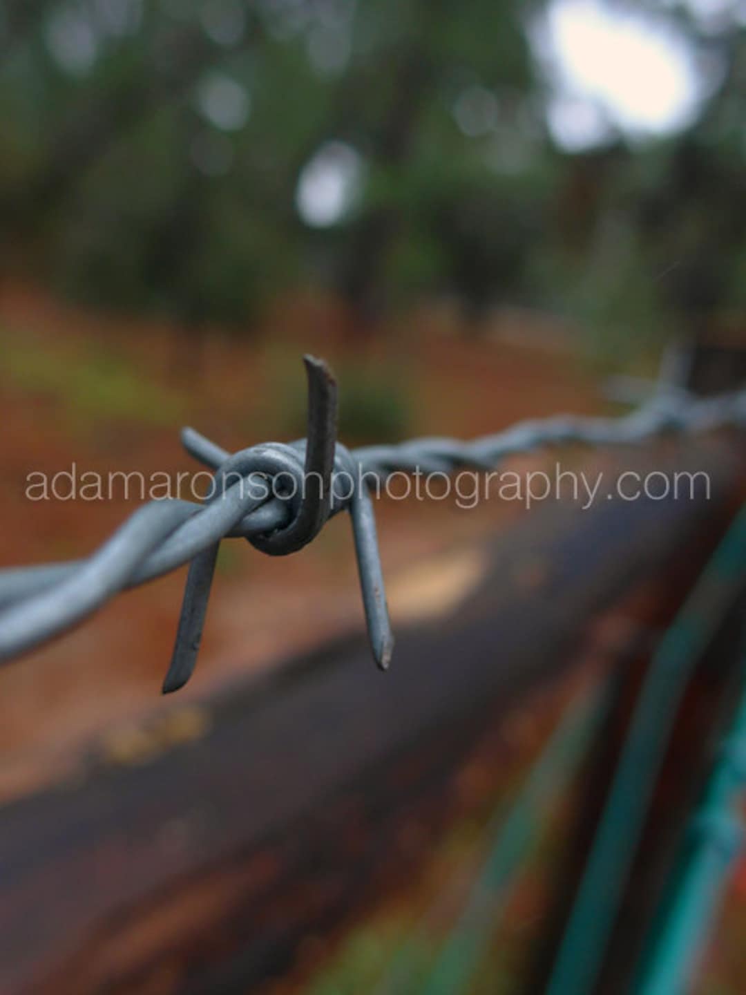 Photograph of Barbed Wire New - Etsy