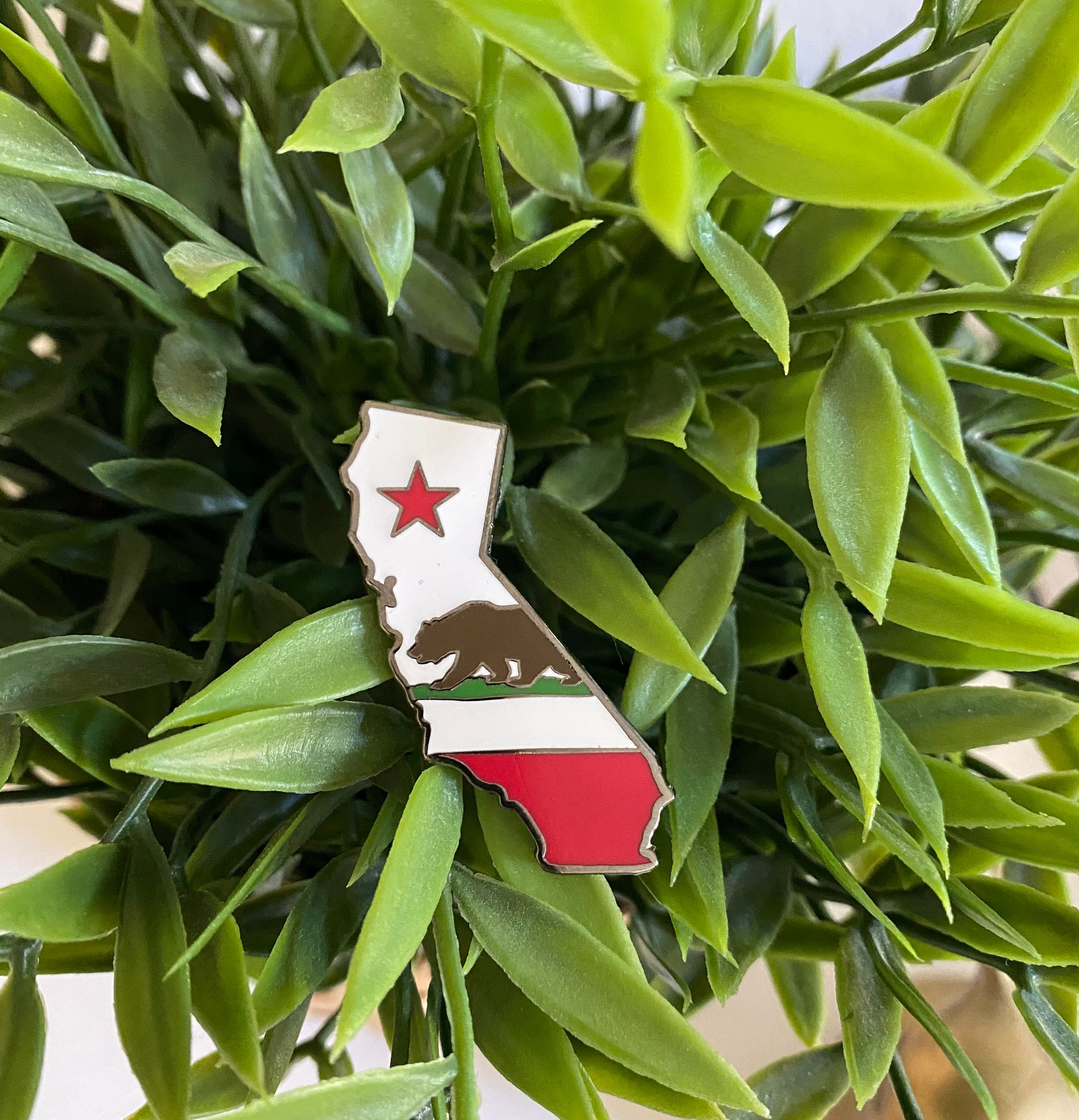 California State Flag Enamel Pin - Etsy