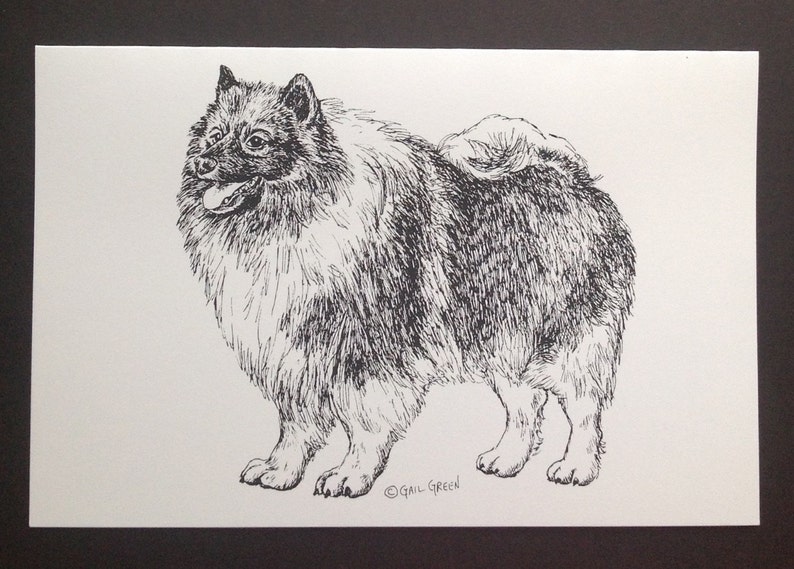 Keeshond Art Print (note Card) - SHIPS FREE! - Etsy