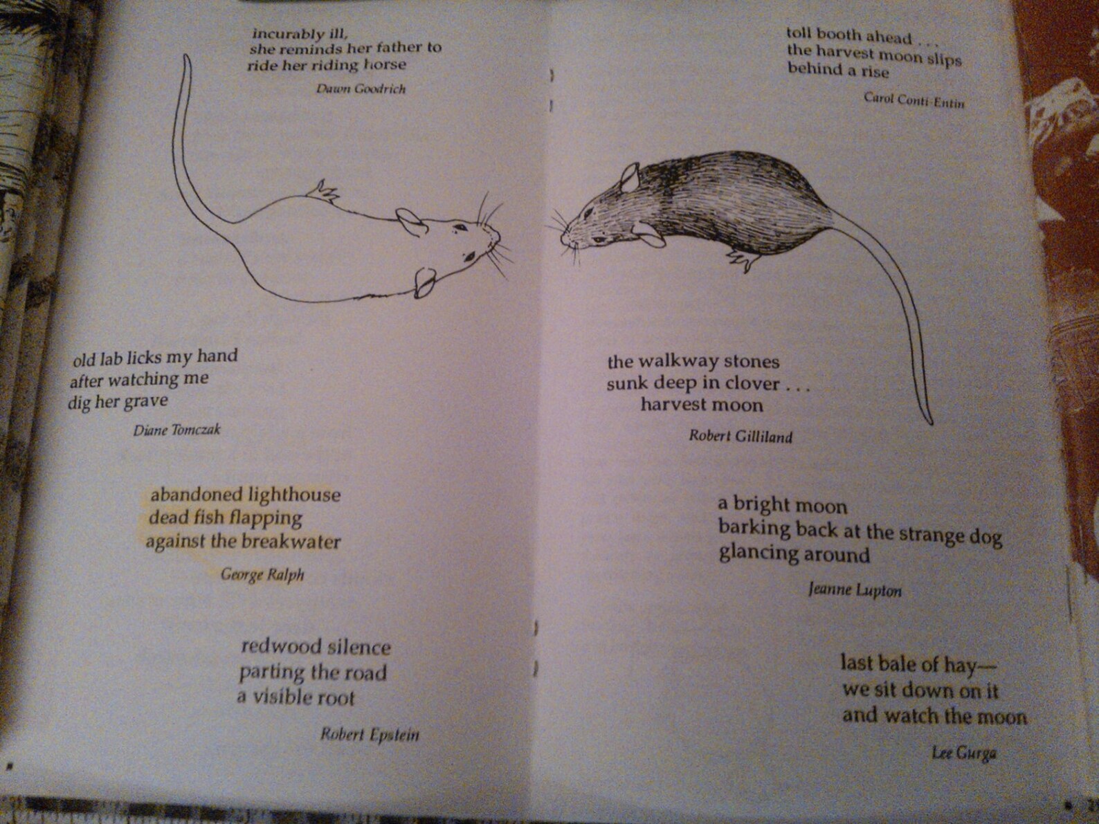 Woodnotes Haiku Journals Small Press Journals Self Published - Etsy