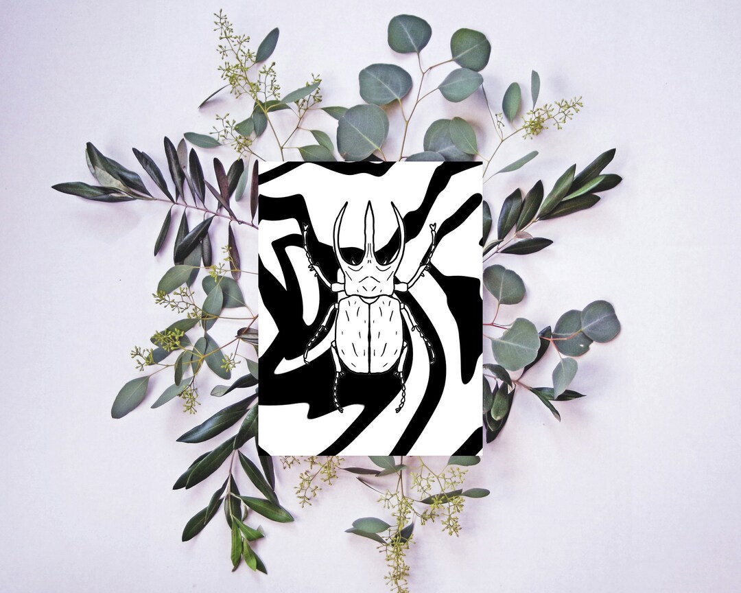 Black and White Goth Gothic Dark Surrealism Aesthetic Abstract Beetle ...