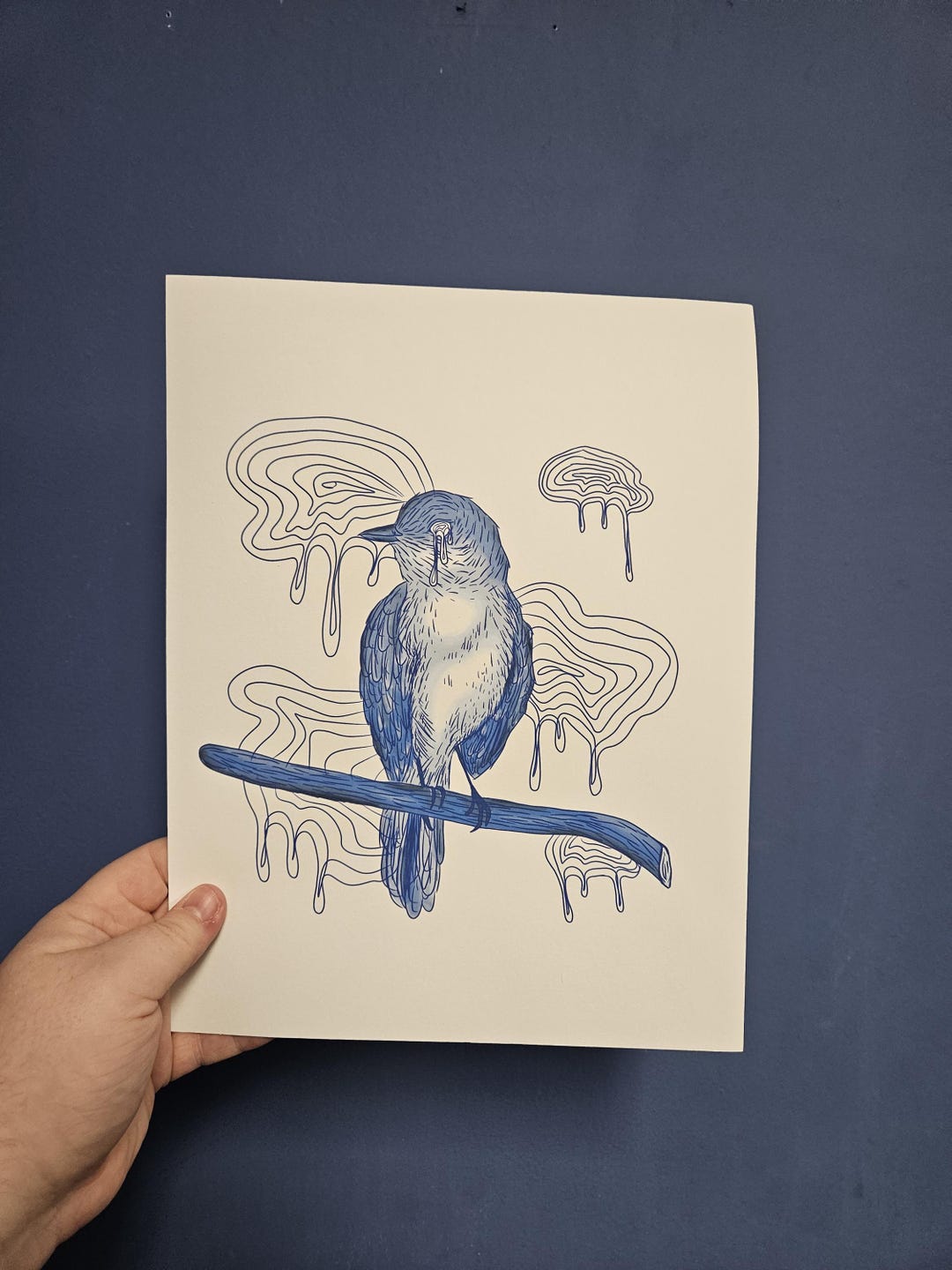 Northern Mockingbird Mania Bird Digital Drawing Painting Surrealism ...