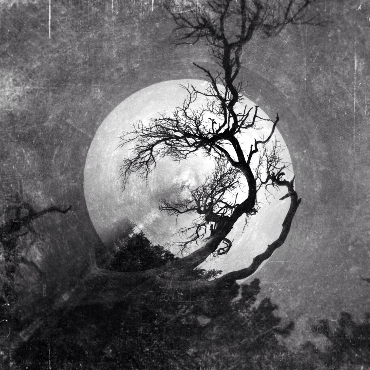 Spooky Halloween Tree With Moon