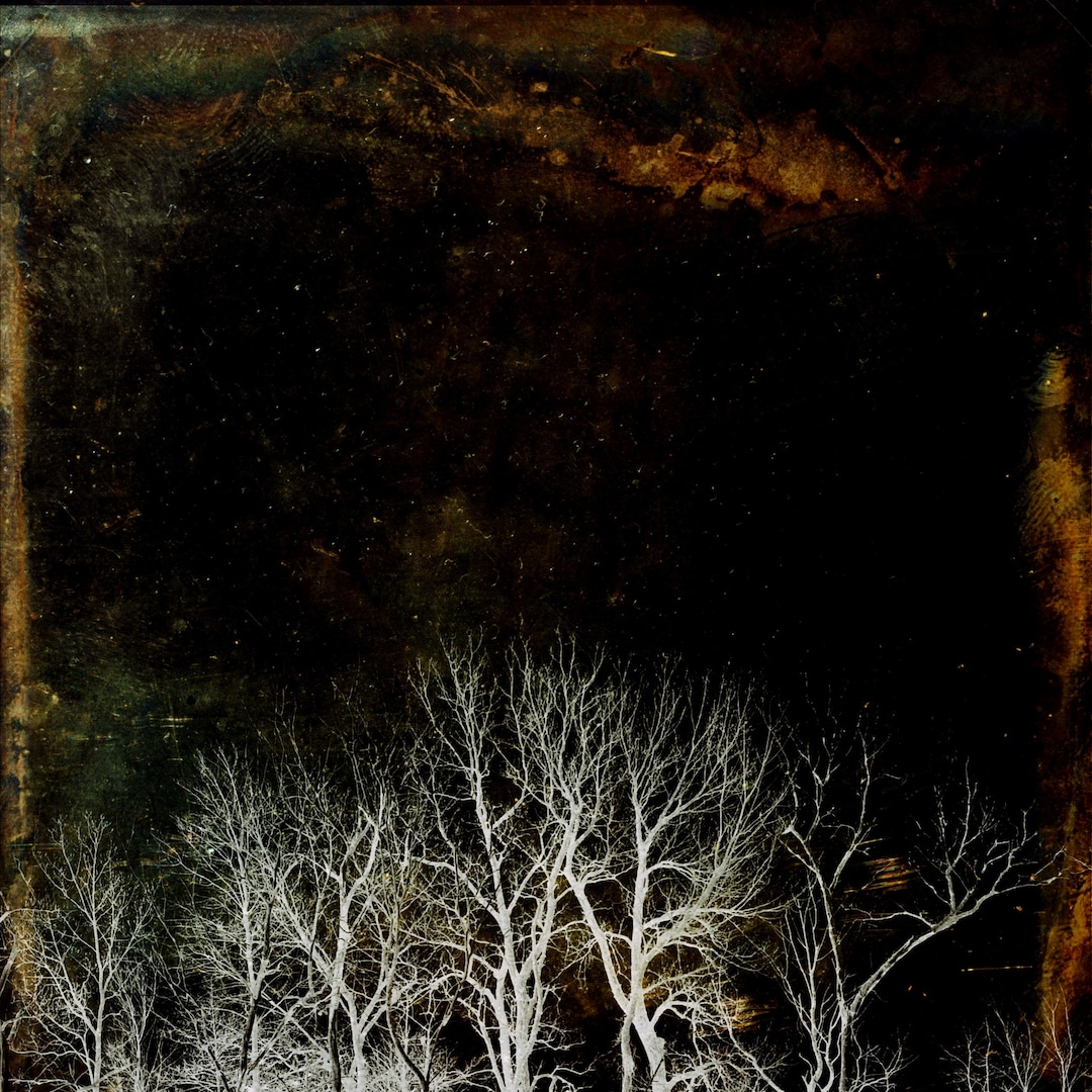 Landscape - Presque Isle State Park, Erie Pa, Negative Photography ...