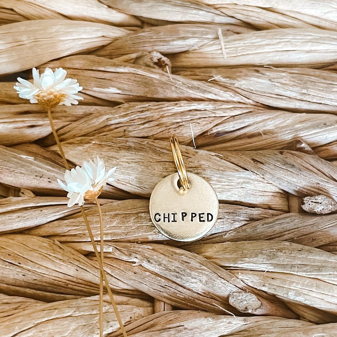 Chipped Charm, Dog Tag, Pet Id Tag, Personalized Dog Tag, Hand Stamped ...
