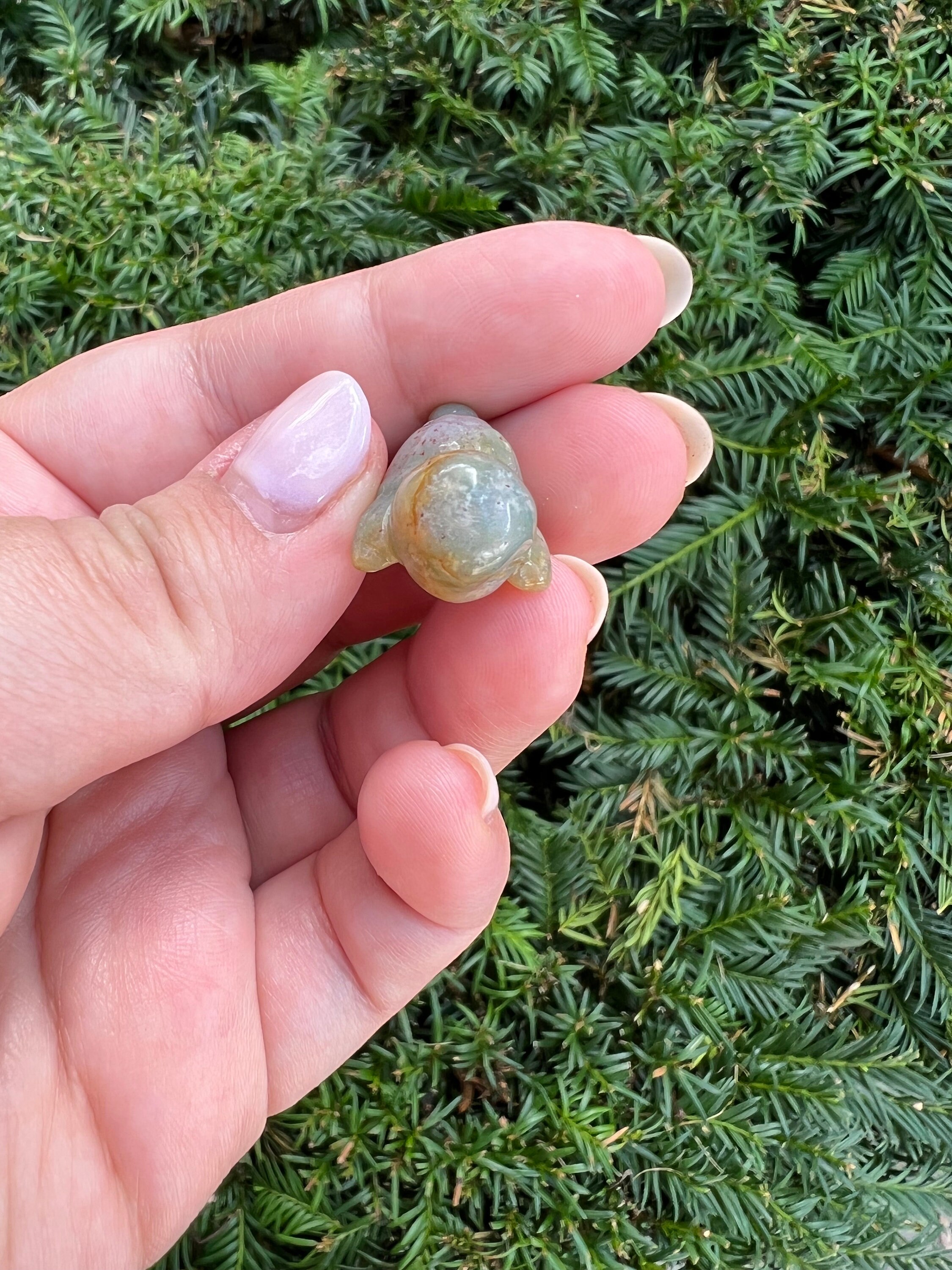 Ocean Jasper Squirtle Crystal Pokemon Intuitively Chosen - Etsy