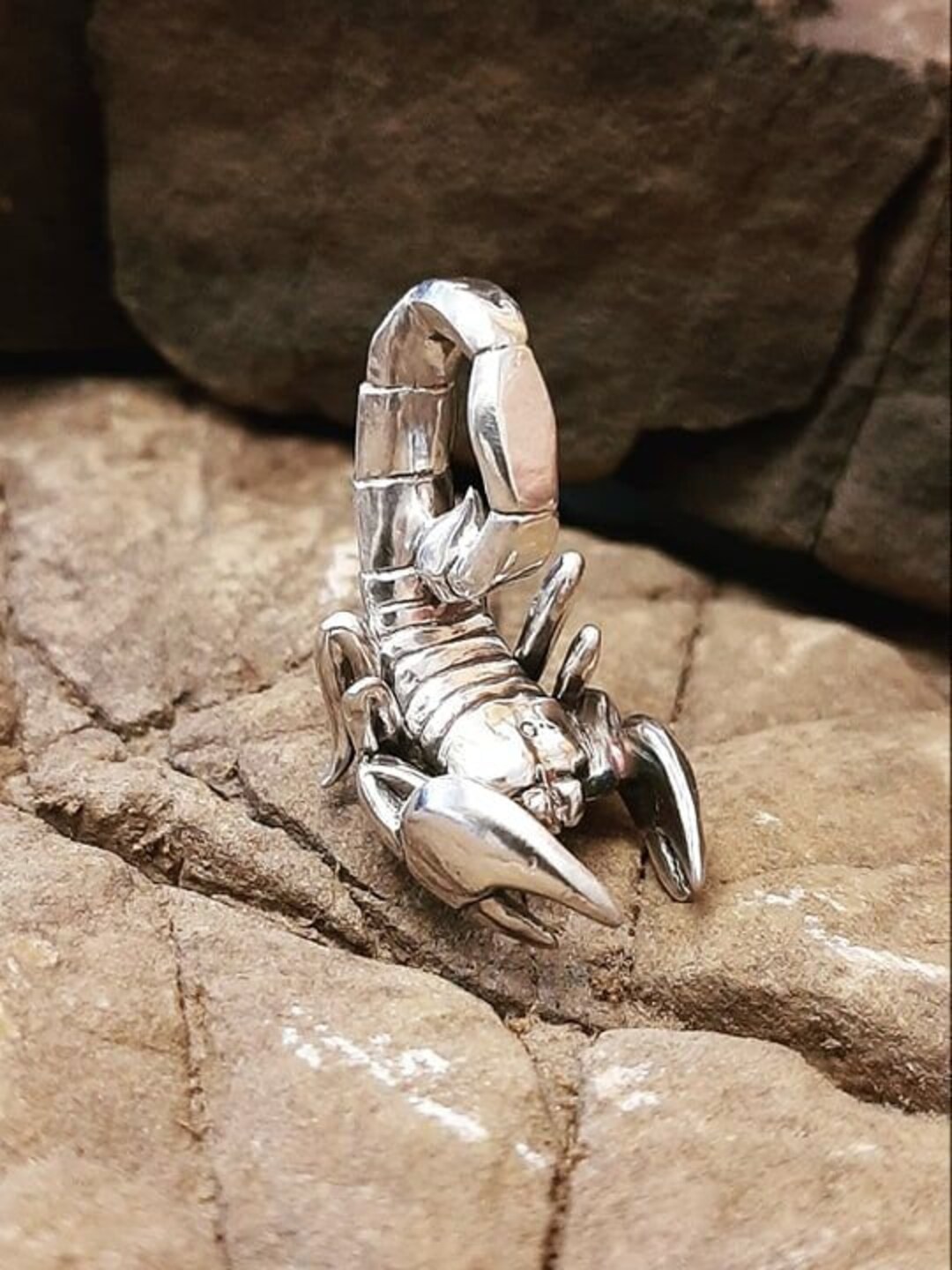 Pendant Scorpion Silver Zahario - Etsy