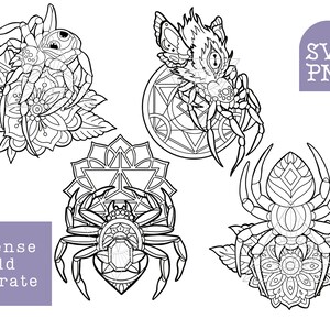 Spiders Mandala SVG PNG Files Bundle for Sublimation: Digital - Etsy