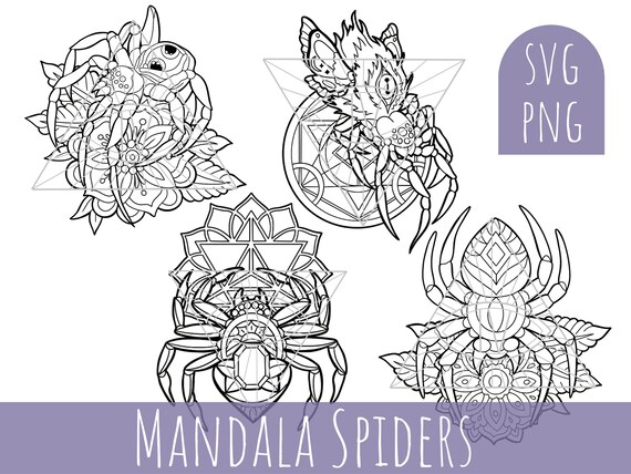 Spiders Mandala SVG PNG Files Bundle for Sublimation: Digital | Etsy